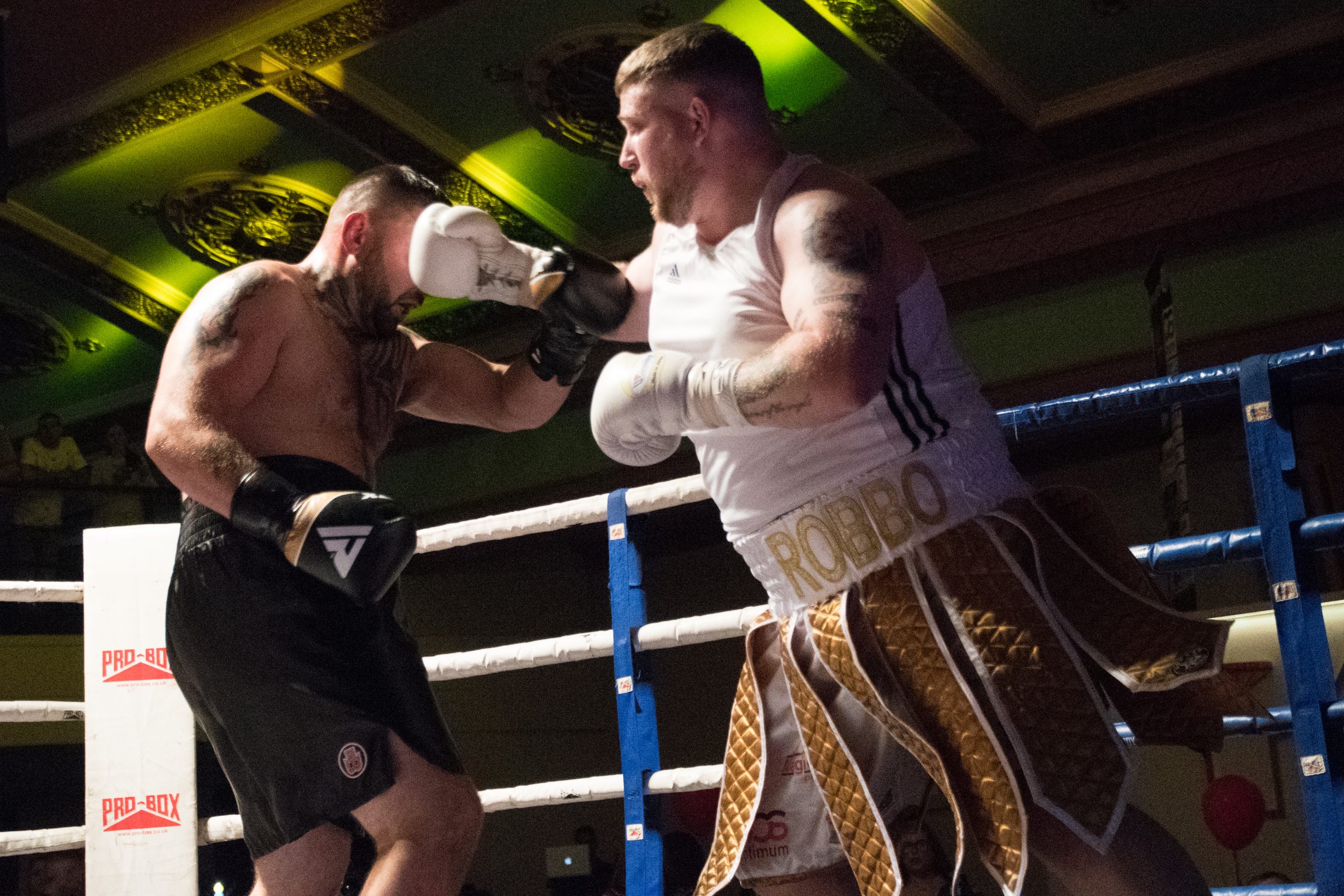 Luke Robinson – UKWCB UK White Collar Boxing